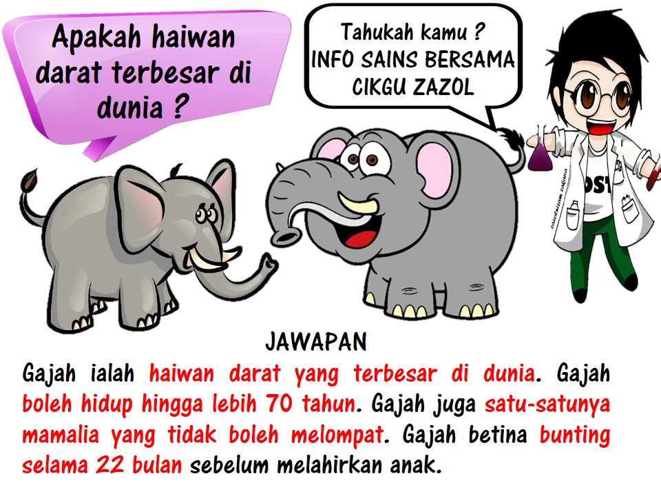 ZAZOLNIZAM BIN ZAKARIA: Info Sains SEkolah Rendah