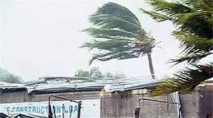 The Environment: Tropical Cyclone Dineo hits Mozambique