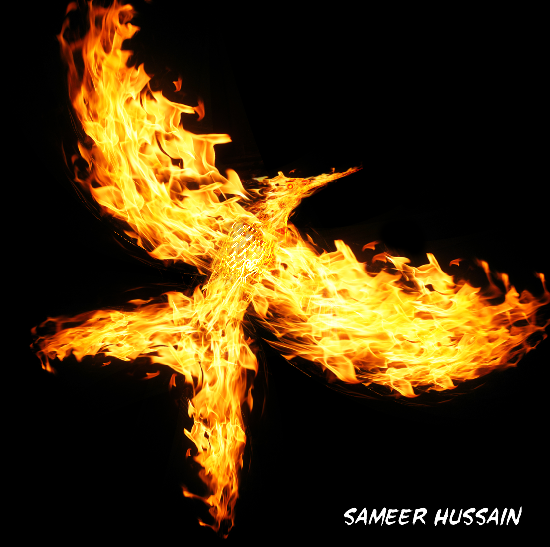 ThatSameer Graphics: Photomanipulation - Mockingjay Fire Bird