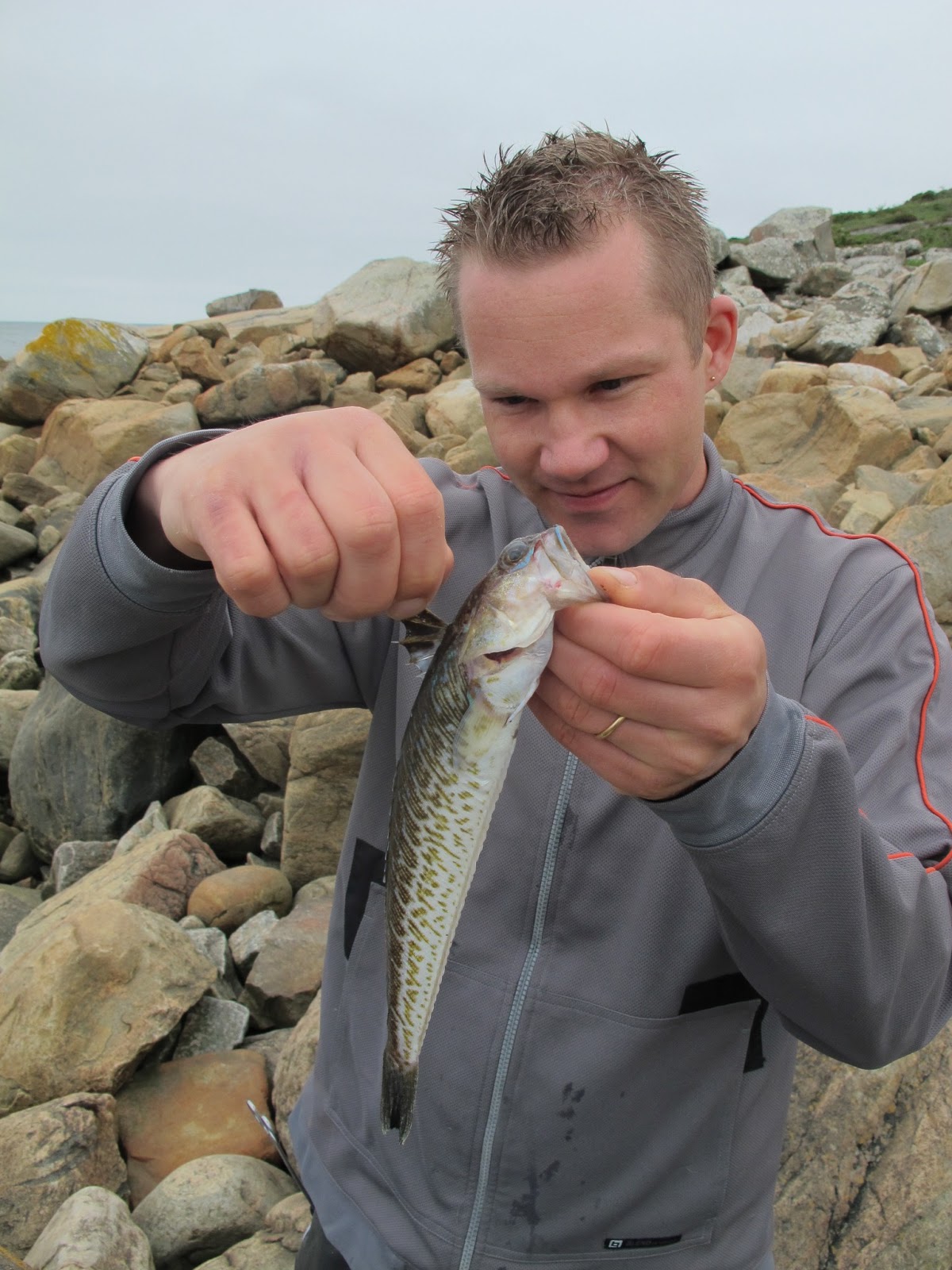 Fiskeligan: Nytt piggvars rekord!