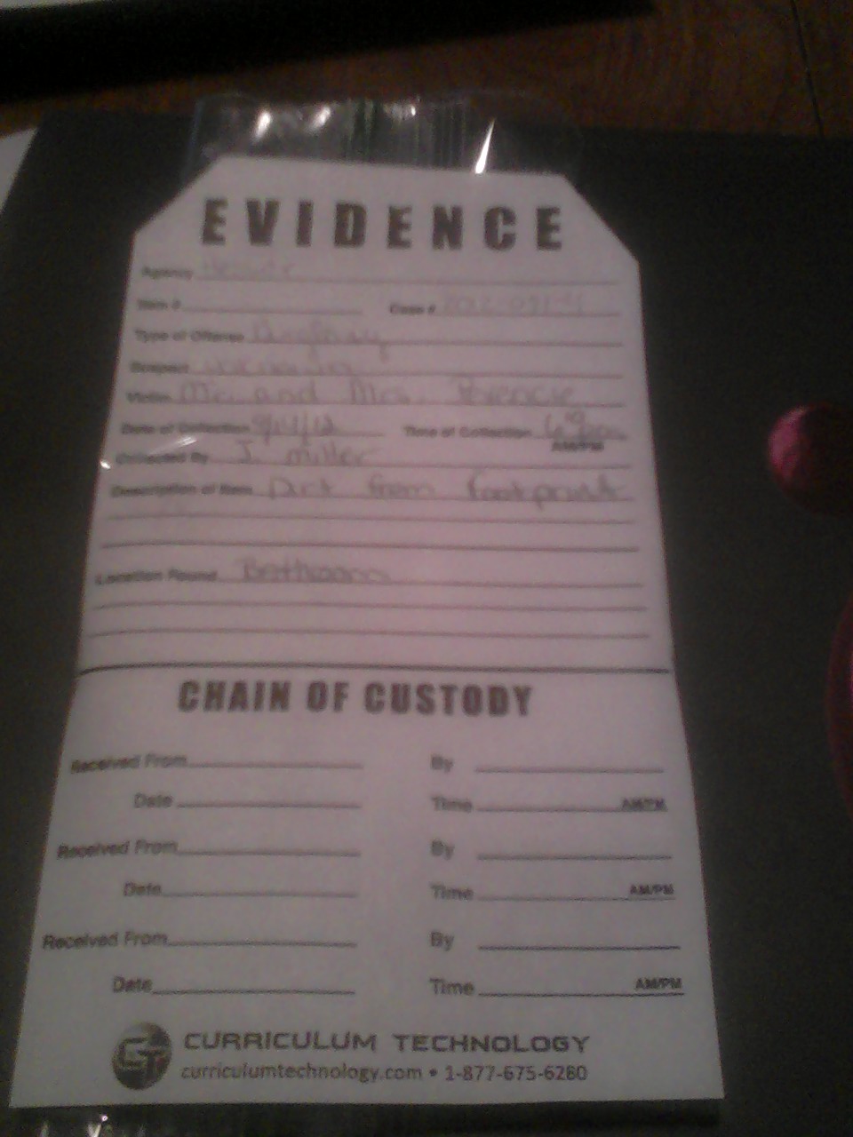 Jess Miller: crime scene activity