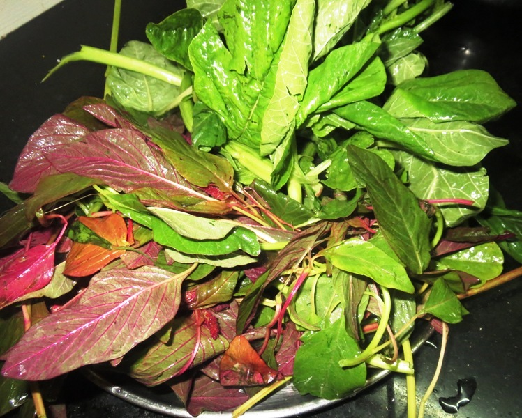 ಅಡಿಗೆ - Adige: Harive Soppu Huli (Amaranth leaves Curry).