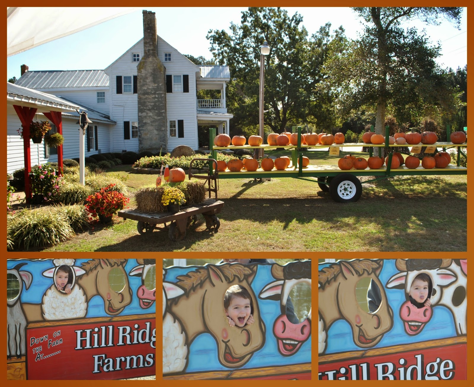 P + L + G + G: Hill Ridge Farms