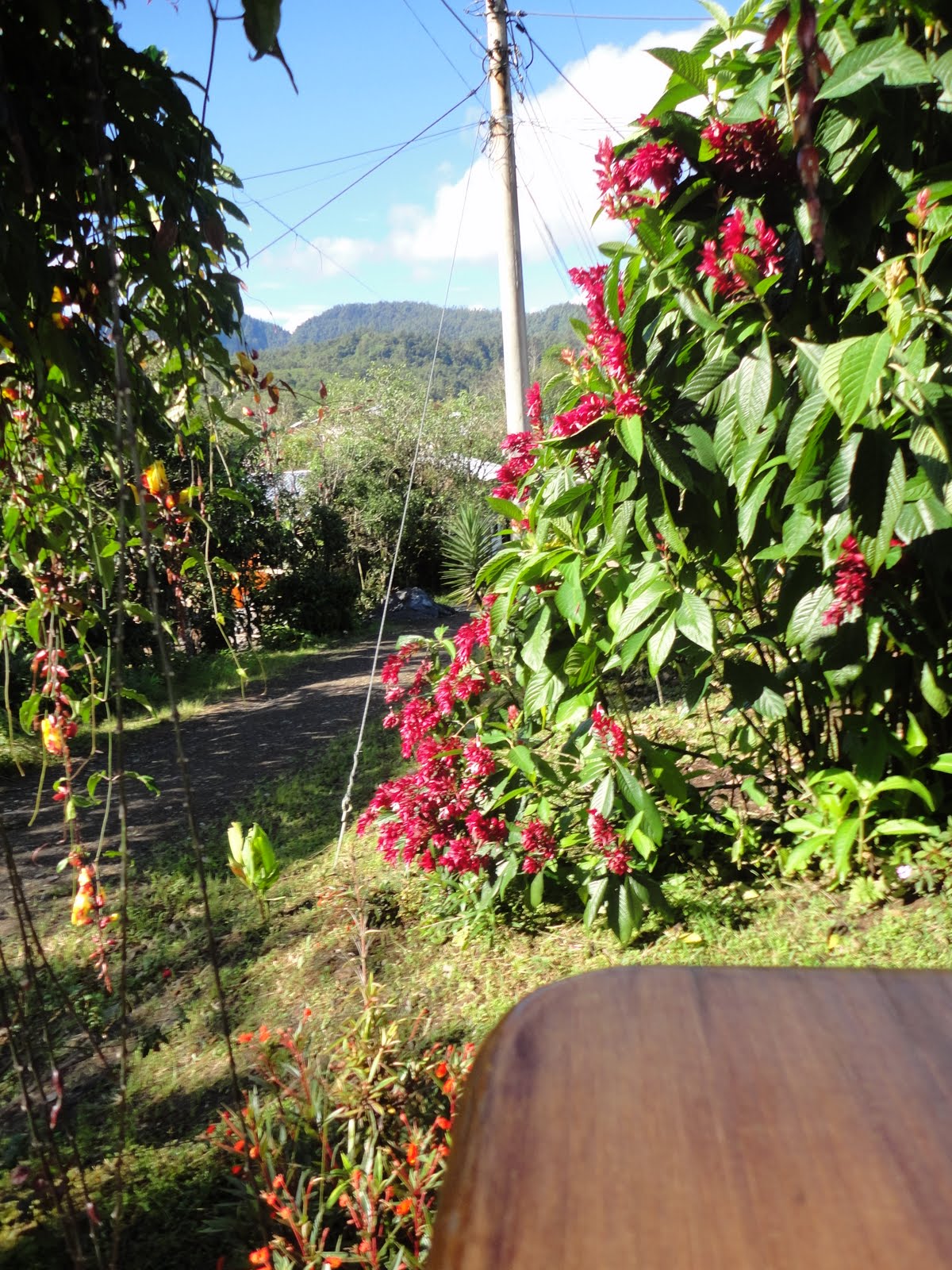 Straddling the Equator