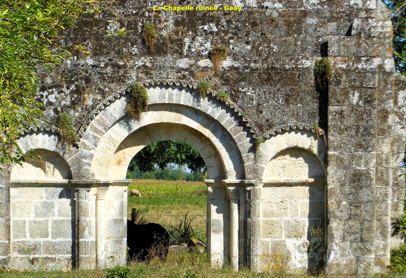 LES MILLE-PATTES DE SAINTONGE: GEAY EN CHARENTE-MARITIME