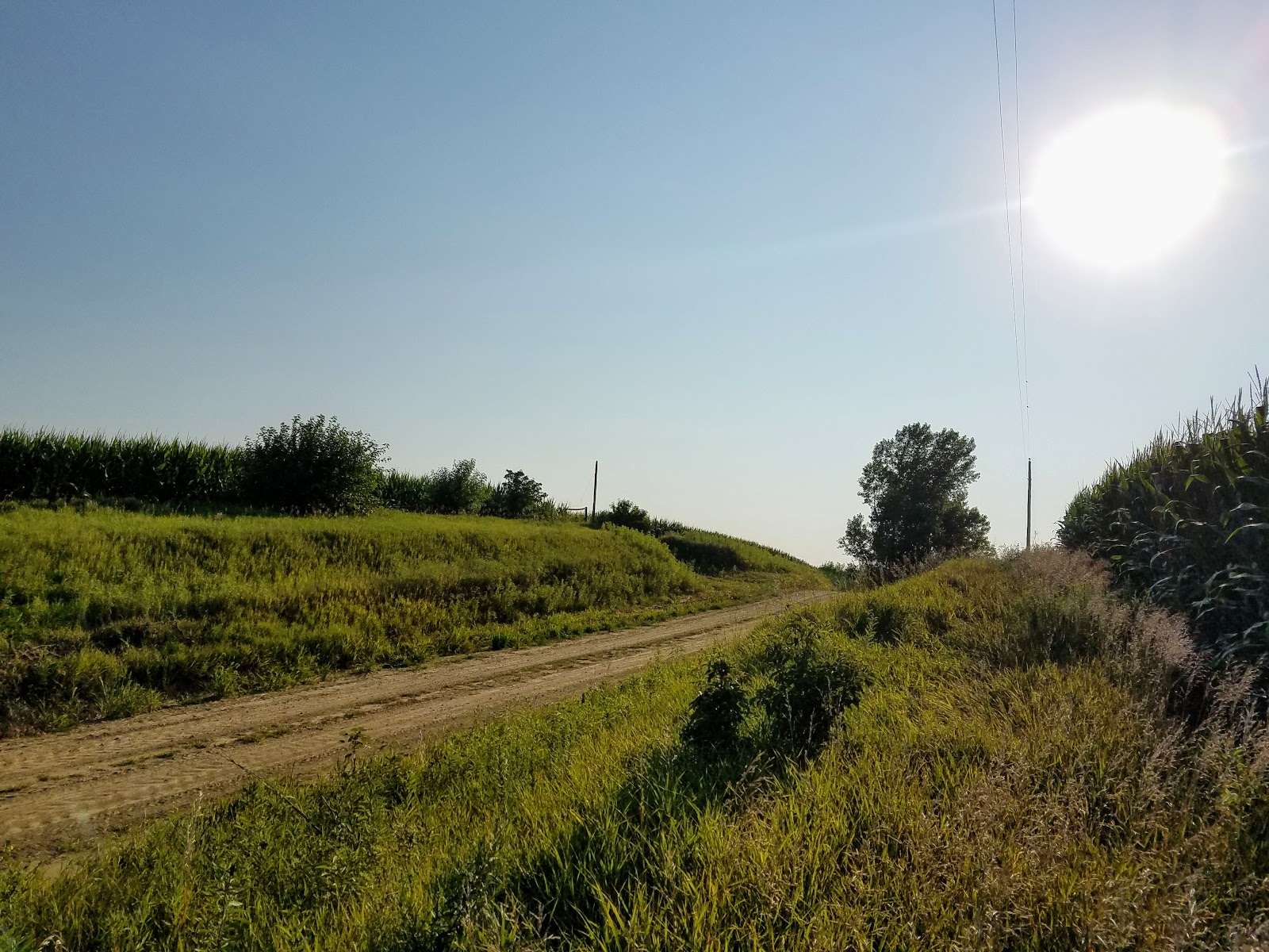 History and Culture by Bicycle: Geocache: Found, Traditional, micro, M ...