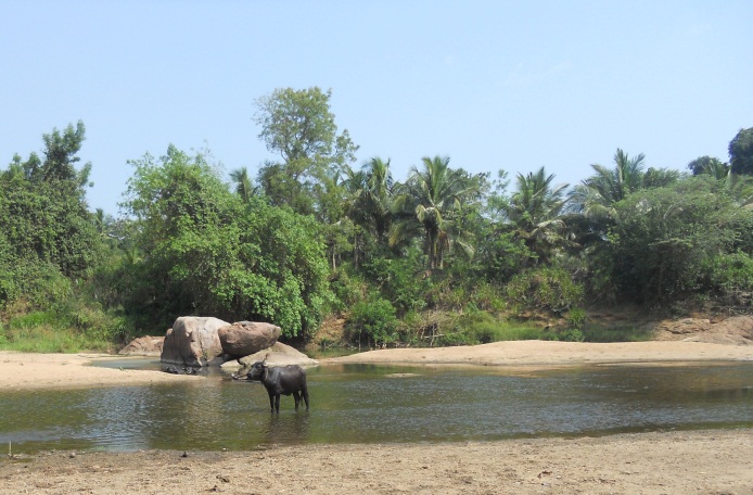 Daduru Oya Reservoir Project
