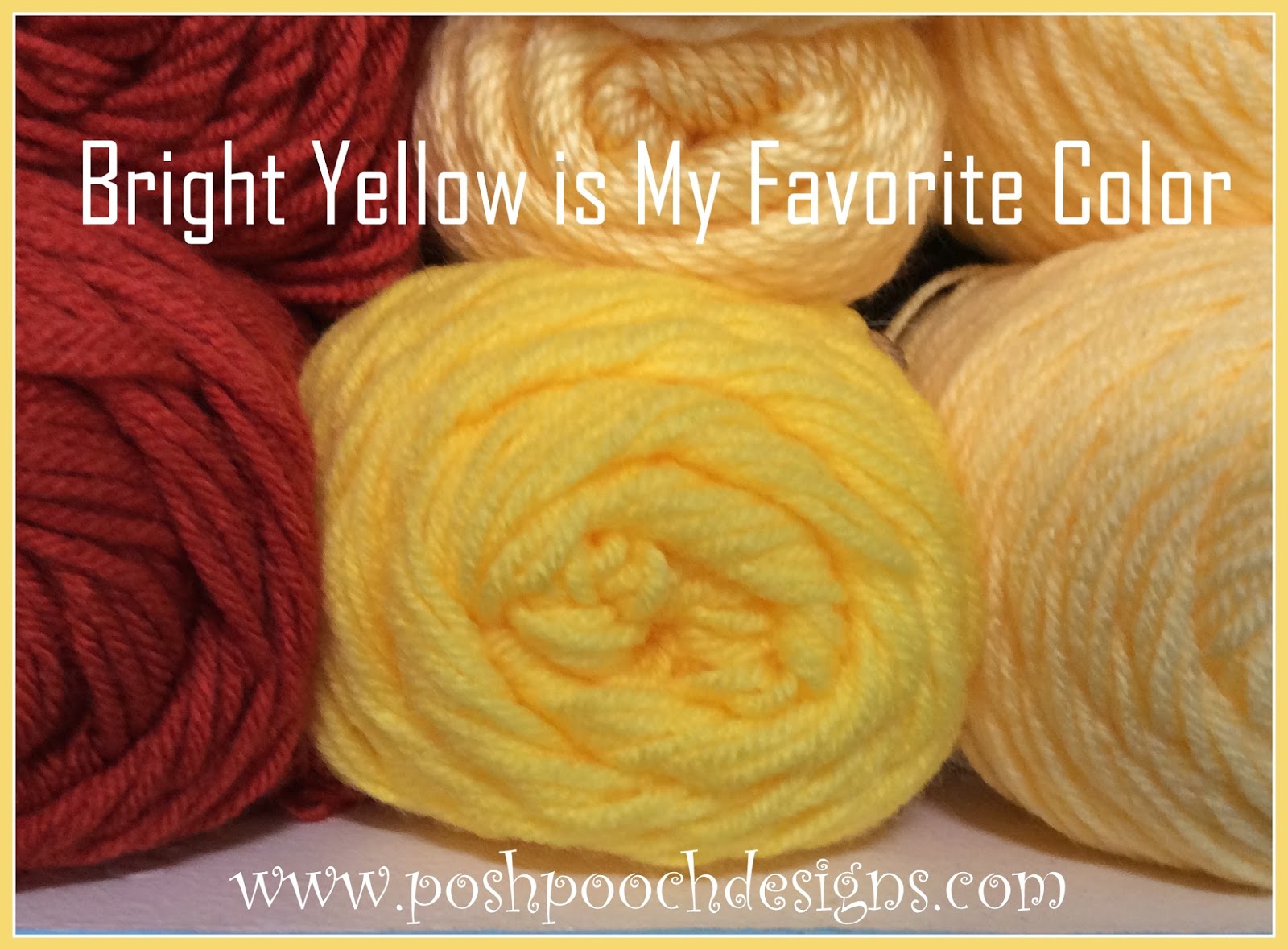 Posh Pooch Designs : Live Video - What's Your Favorite Yarn Color ...