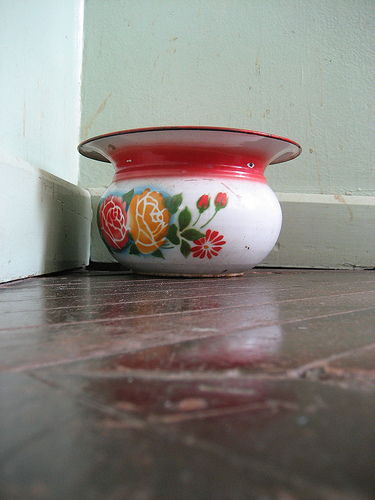 Ultra-Gross: "London poop is falling down, falling down, falling down ...