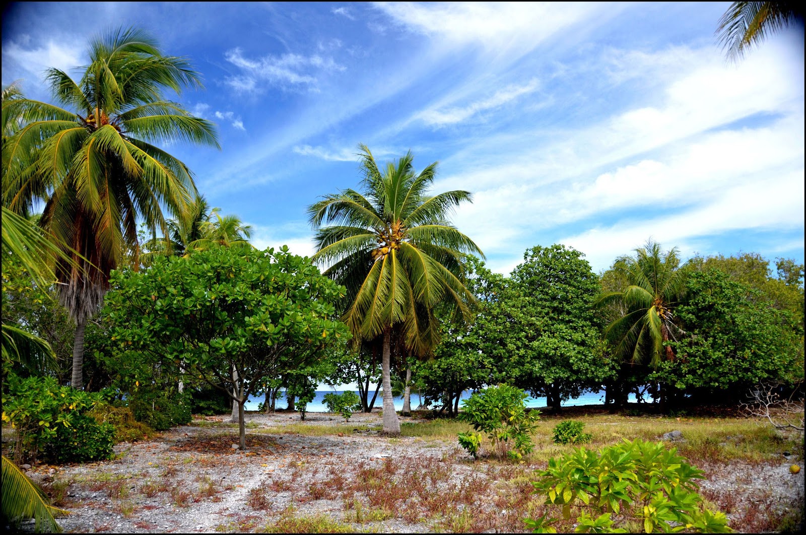 Ke Ala Kai Loa: Tiputa, Rangiroa - We have arrived...