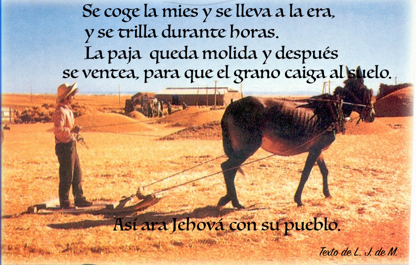 Meditaciones Matinales: EL ZARANDEO.