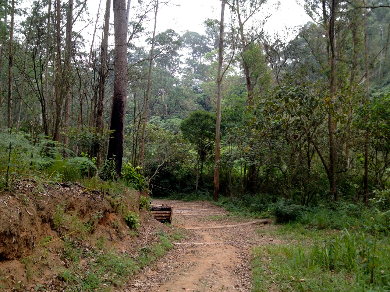 Parque M'Boi Mirim em São Paulo ~ Áreas Verdes das Cidades - Guia de ...
