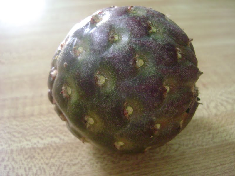 Everything you ever wanted to know about Pitayas - La Cocina de Leslie