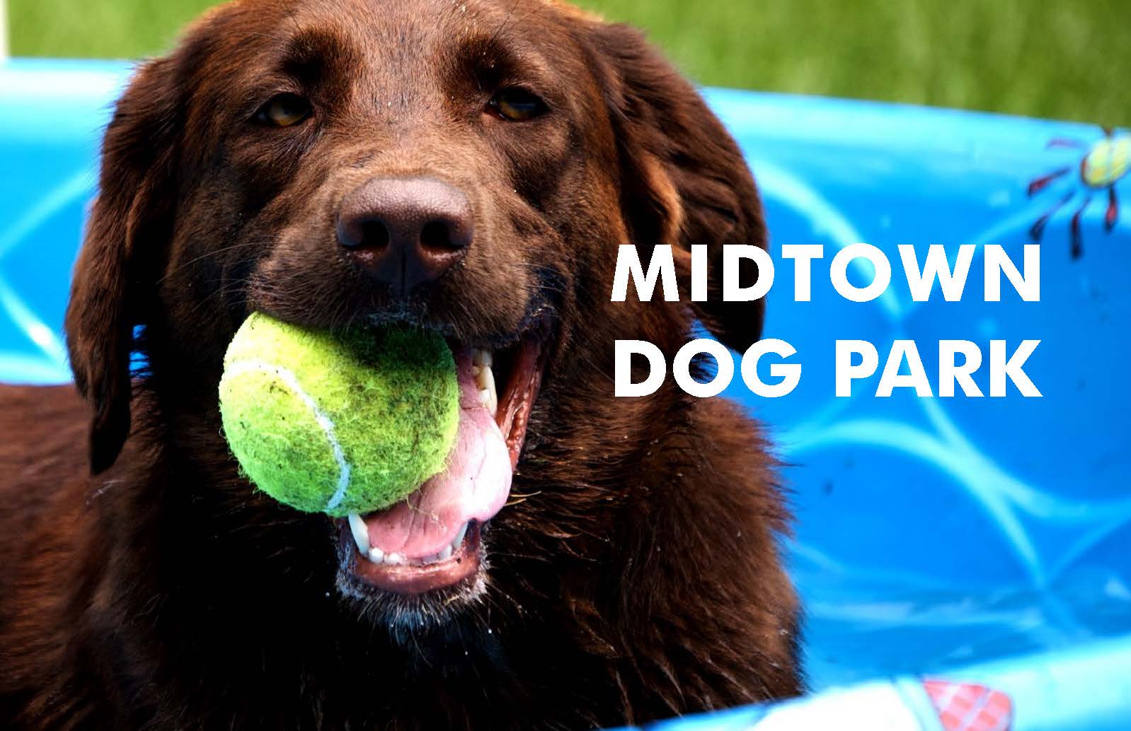 2 9 T H V O I D: Creative Void: Midtown Dog Park Concept by M.Lisk Design