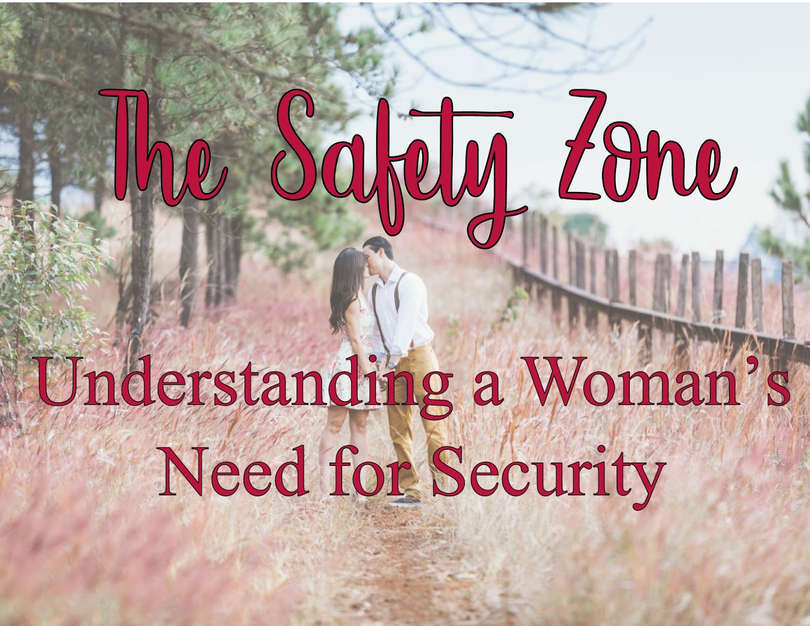 Pathways to Peace Counseling: The Safety Zone: Understanding a Woman's ...