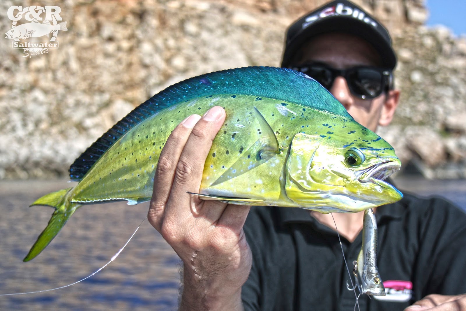 RockFishing Spain: Llampugas a Rockfishing