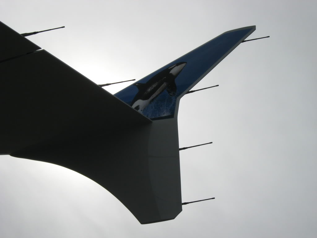 AiRcrAft EnTHuSIaST : WINGTIP DEVICES (WINGLETS)