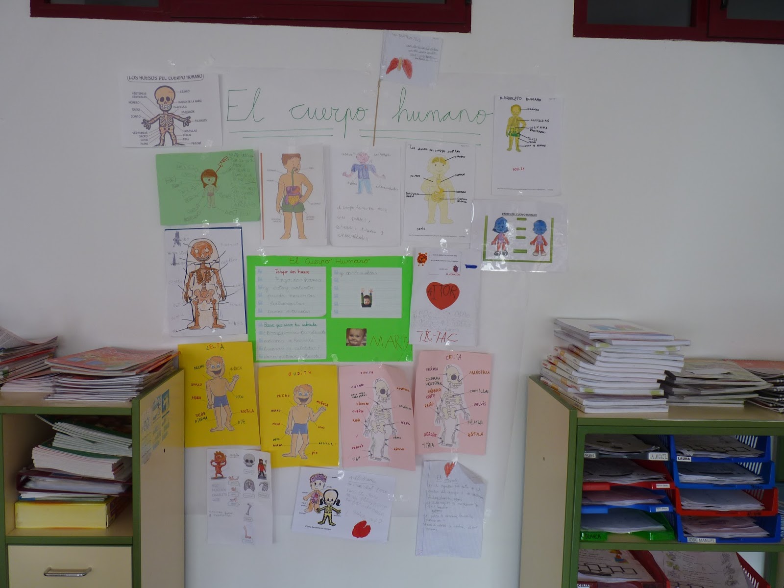 La paleta de Zurbarán: CUERPO HUMANO