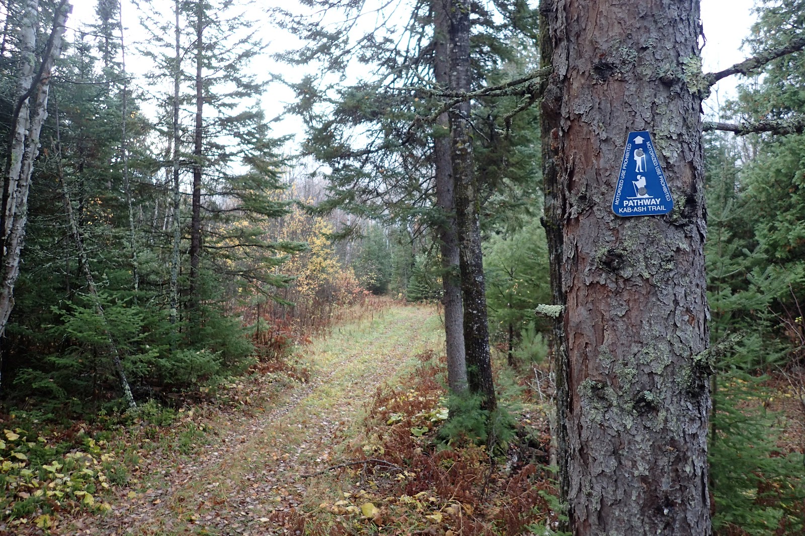 The Continuing Adventures of Eric, Noelle and Sierra: Voyageurs ...