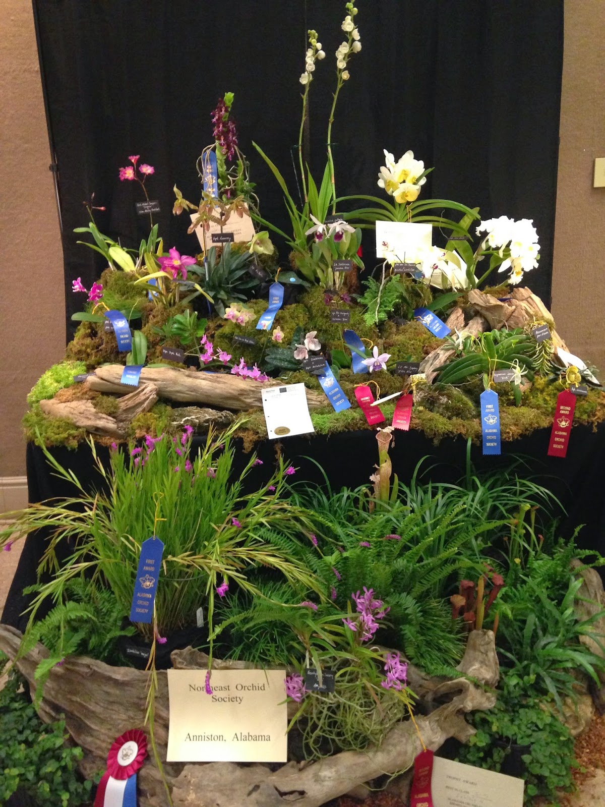 Northeast Alabama Orchid Society