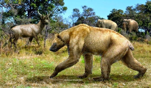Fatos Fantásticos: TEMPO GEOLÓGICO