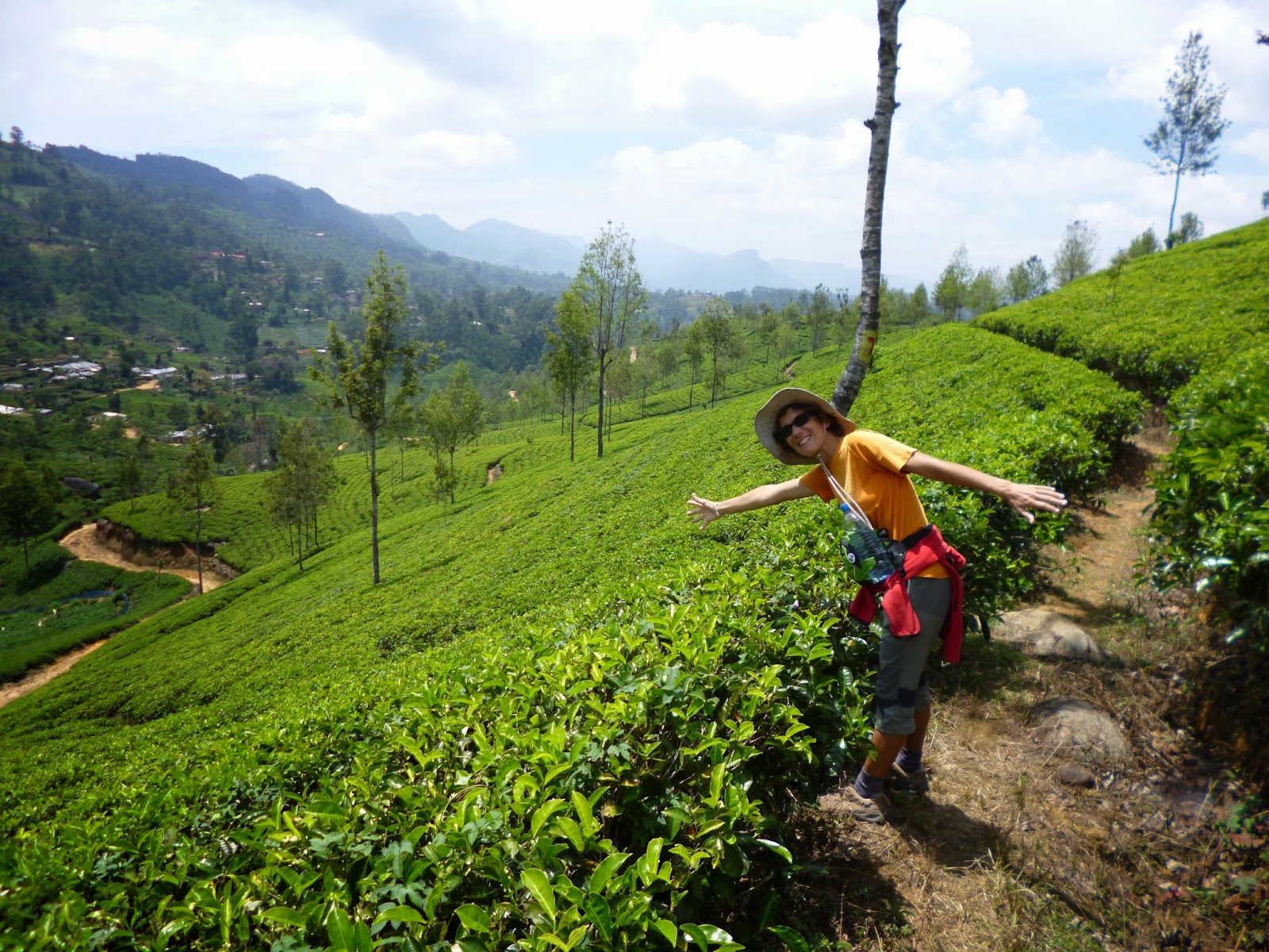 Haputale y las plantaciones de te en Sri Lanka.
