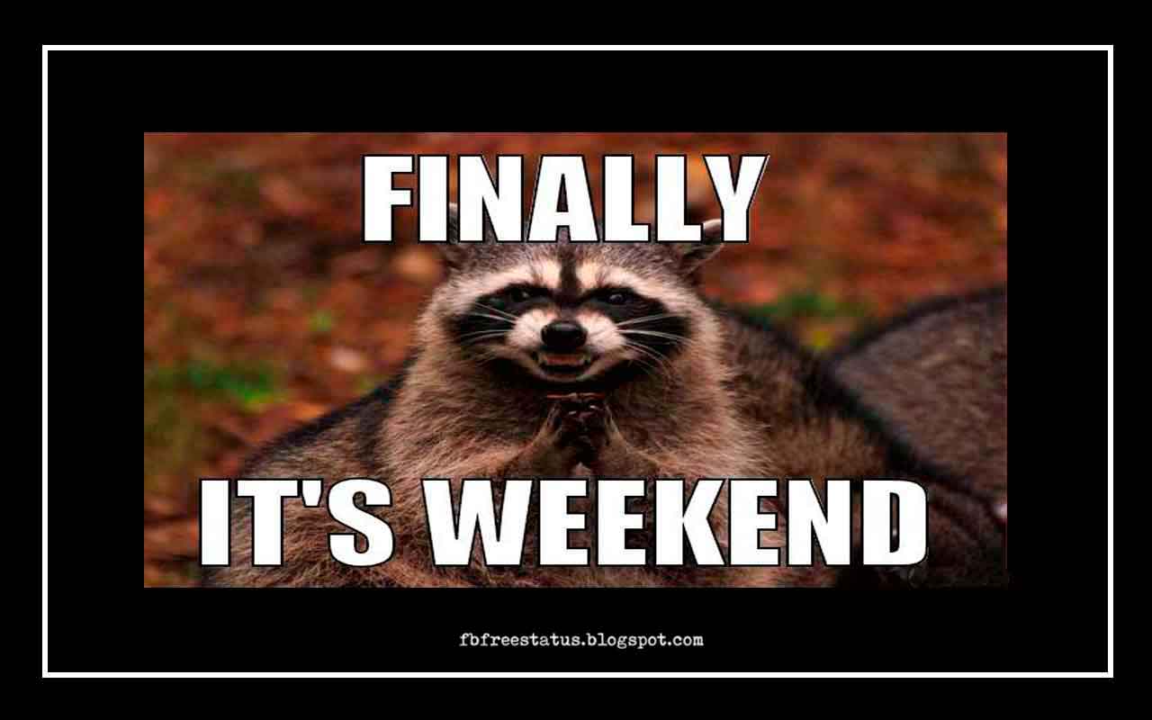Funny & Happy Weekend Quotes With Memes Images Pictures