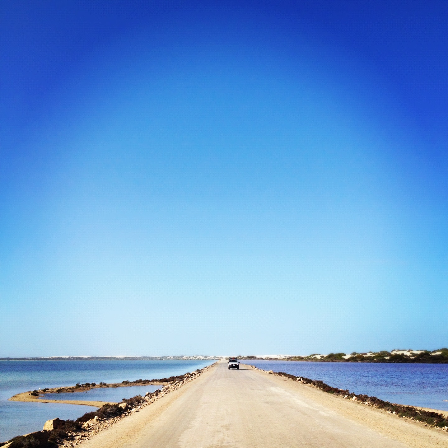 On The Road To Cactus Beach | iPhoneography Oz | Australia iPhone ...