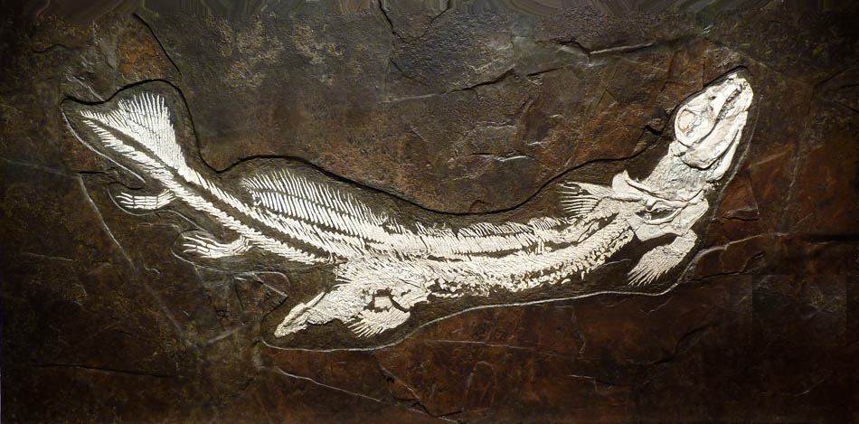 TRIASSIC SHARKS: TIBURONES EN TIERRA FIRME