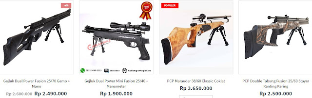 4 Jenis Air Gun Untuk Mendukung Hobi Berburu Dan Pajangan | Kidung Kinanthi