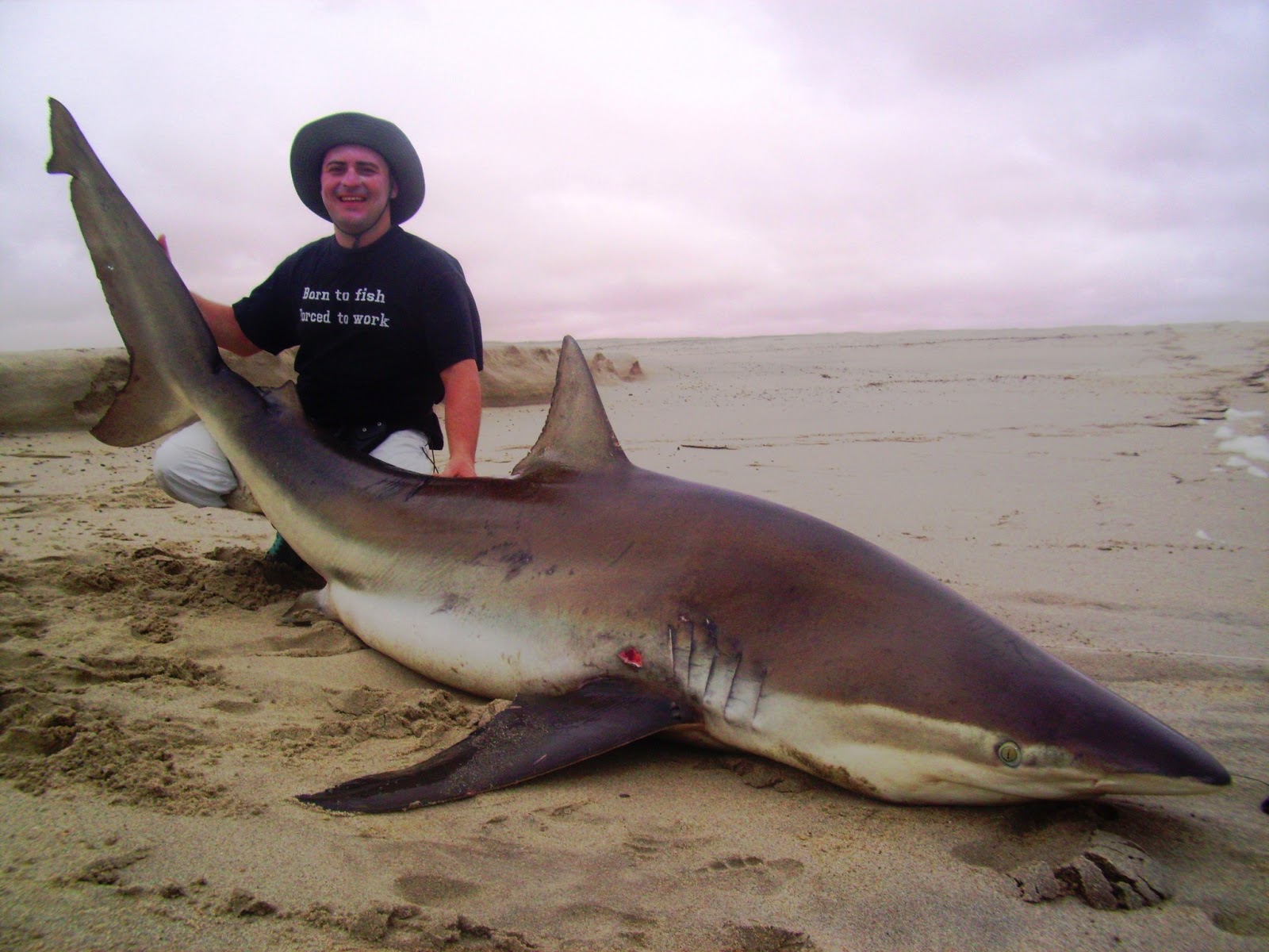 Namibia Sport Fishing : The Past Fishing Season February, March 2013