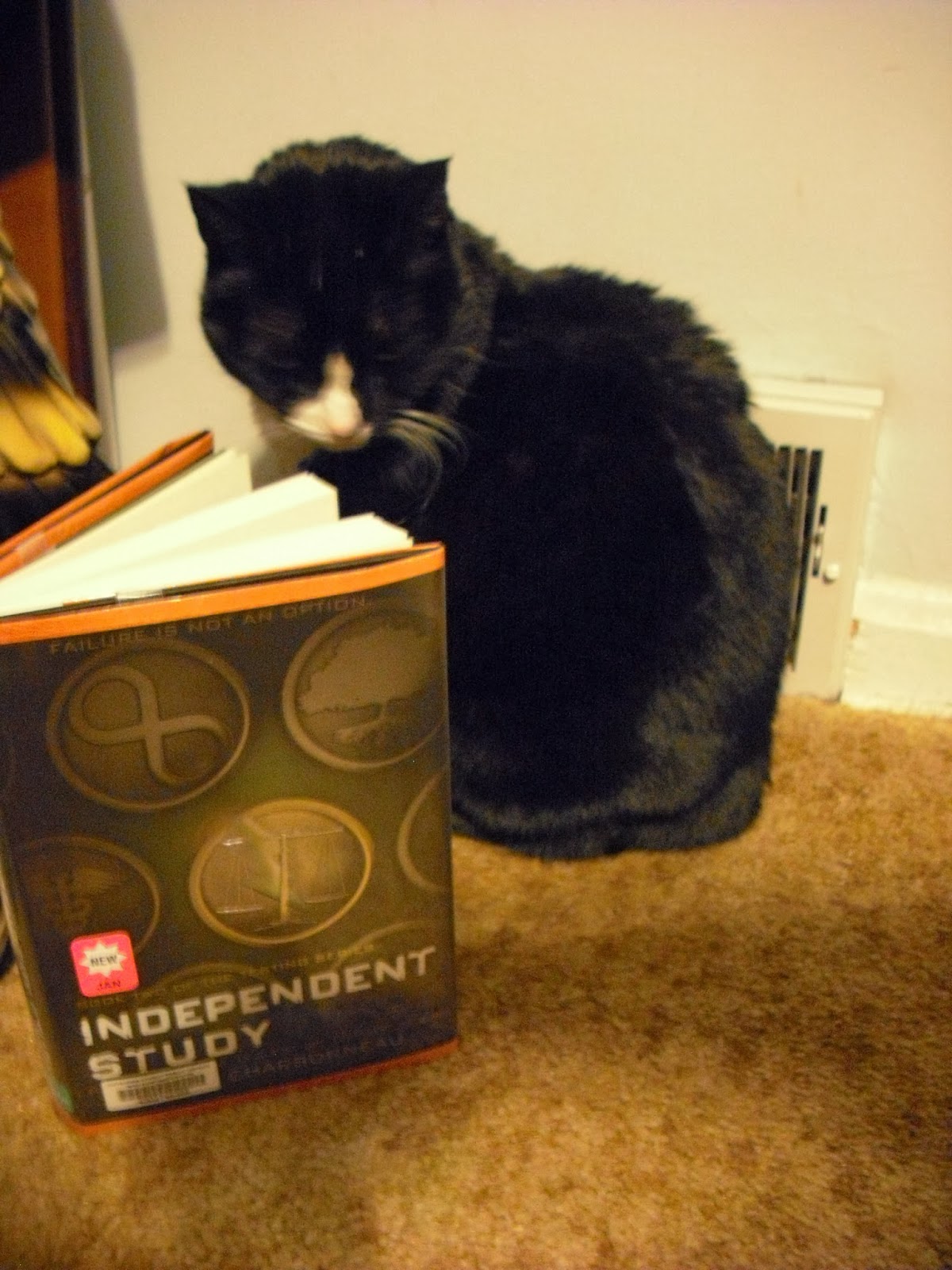 Grab A Book From Our Stack: "Independent Study" by Joelle Charbonneau ...