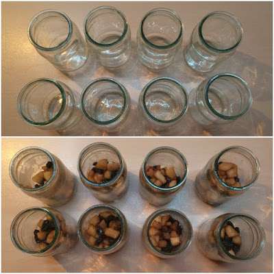 ApfelStrudel Kuchen: Waldorf Pudding {#DiadelTitanic}