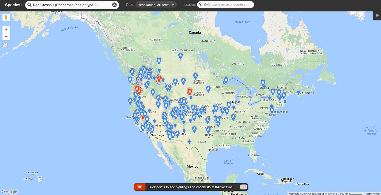 "Type 2" and "Type 10" Red Crossbills in Connecticut