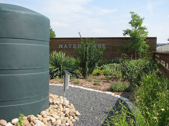 Plano Prairie Garden: Dallas Water-Wise Landscape Tour Part 1