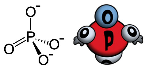 Ciencia y Tecnología