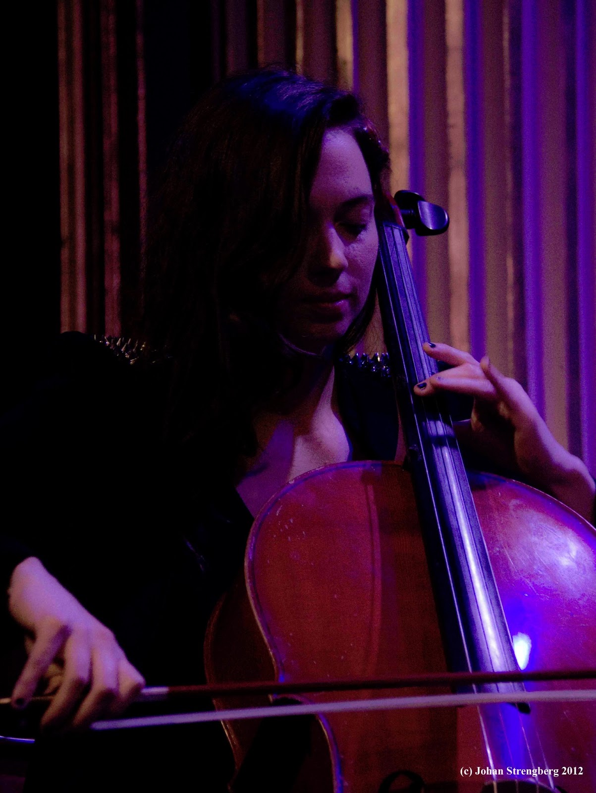 Fotoblogg Johan Strengberg: Johan Boding skiv release Nalen 15 okt 2012