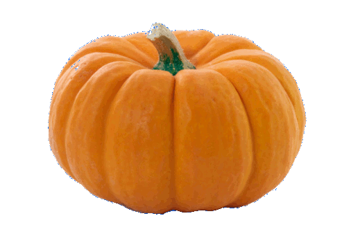 AMIGOS DE BALDOMERO: ZAPALLO QUE SE HIZO COSMOS - Macedonio Fernandez