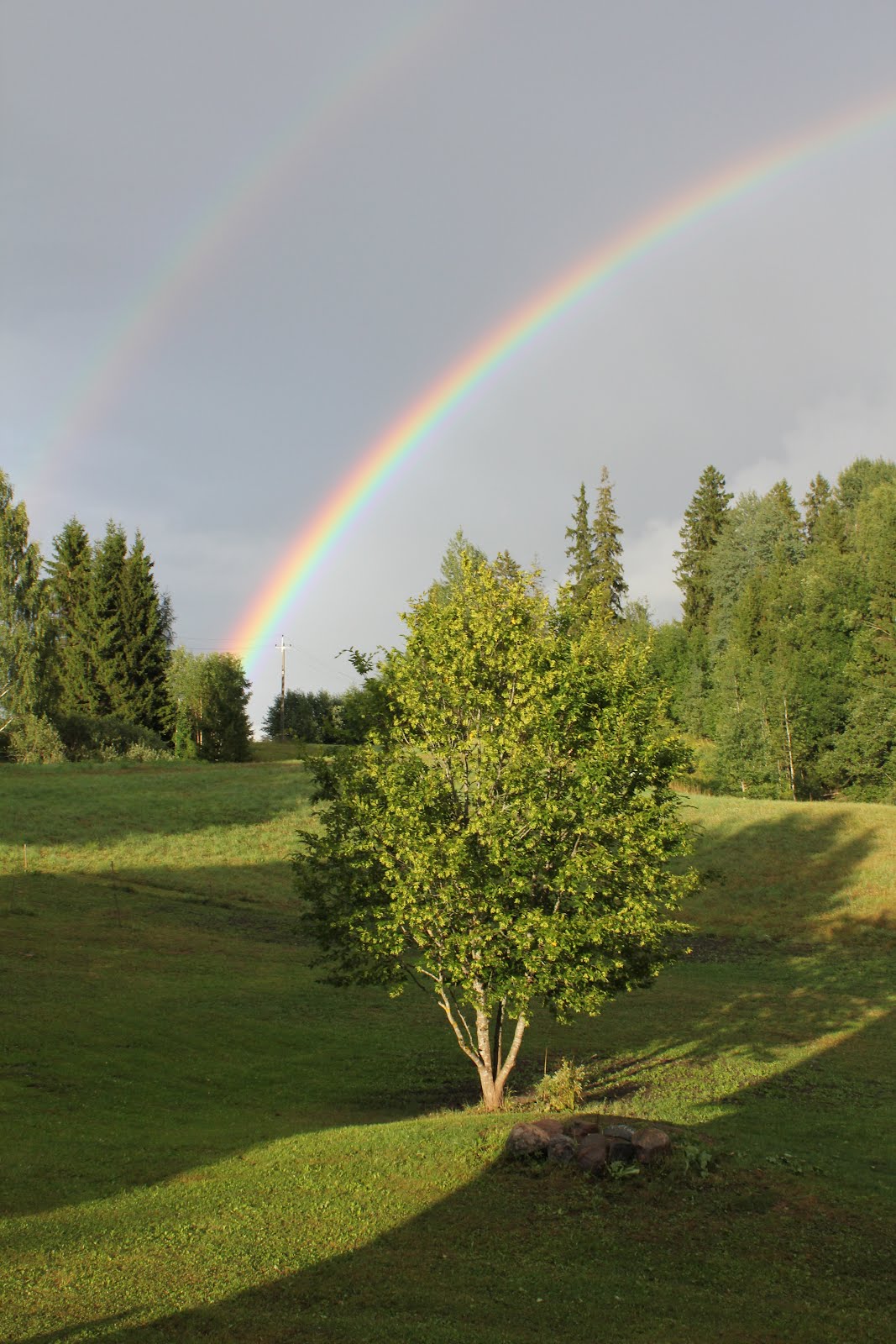 ARULA KÜLA TÄNA: Pildigalerii Arula imedest