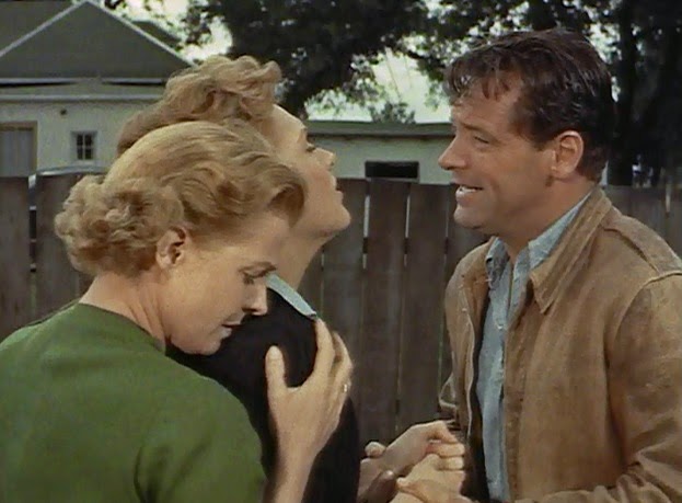 Picnic ( 1955 ) - Silver Scenes - A Blog for Classic Film Lovers