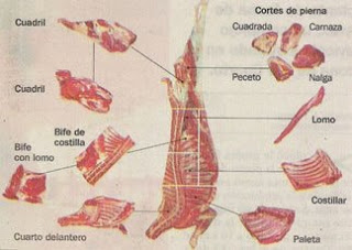 CORTES DE CARNES I: GRAFICAS DE CORTES DE GANADO PORCINO, CAPRINO OVINO