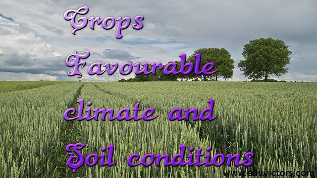 Geography - Common Grown Crops - Favourable climate and Soil conditions ...