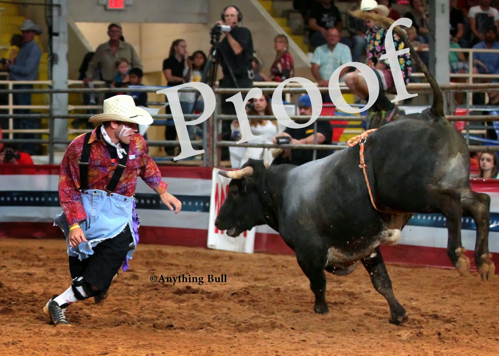 Anything Bull or Rusty: Chuck Swisher-2nd steer Friday night