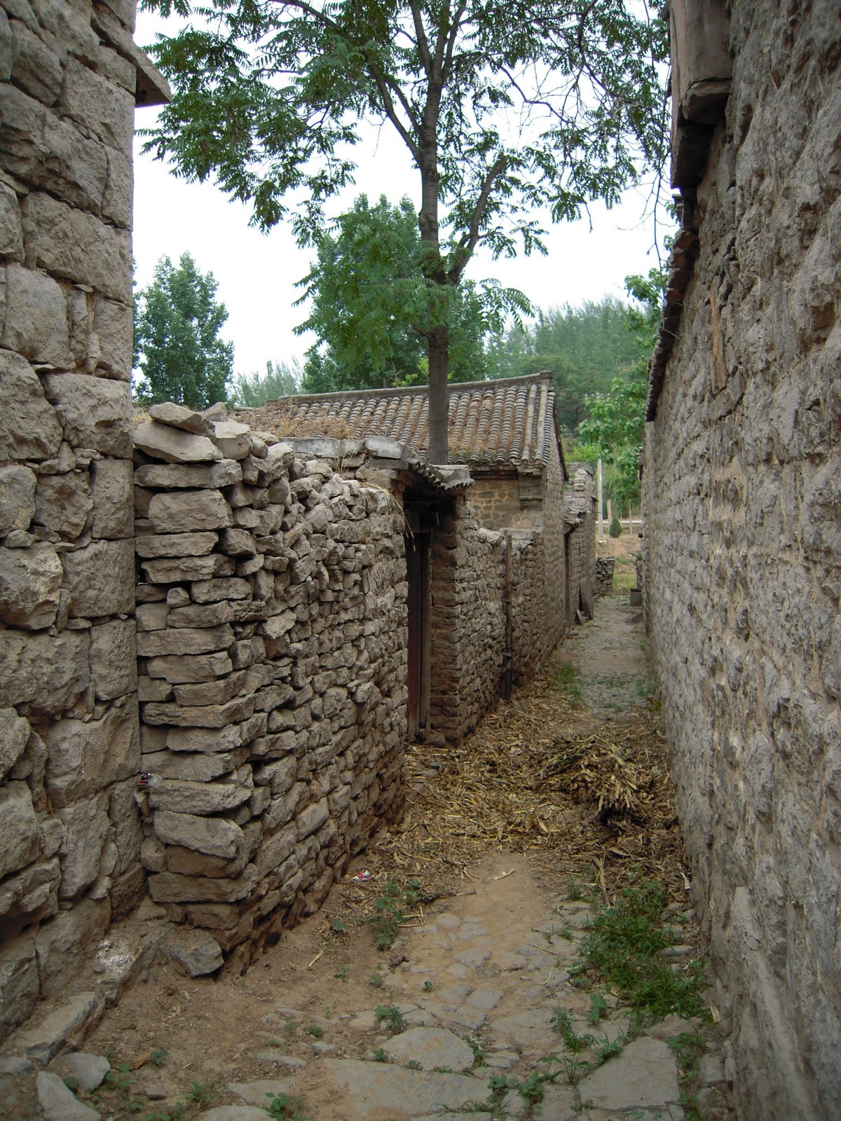 Trip around Asia: La Chine rurale