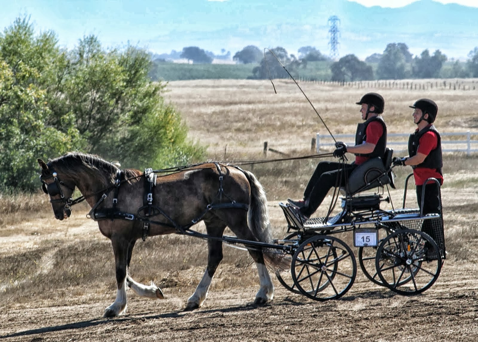 fairbetty's world: A Carriage Driving Event (Photos)