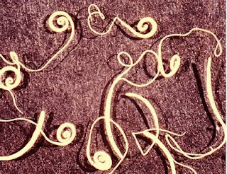 TRICHURIASIS: ¿QUÉ ES LA TRICHURIASIS?