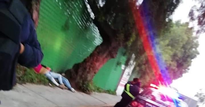 El Mexiquense Hoy En Día De Muertos”fausto” La Historia De Un
