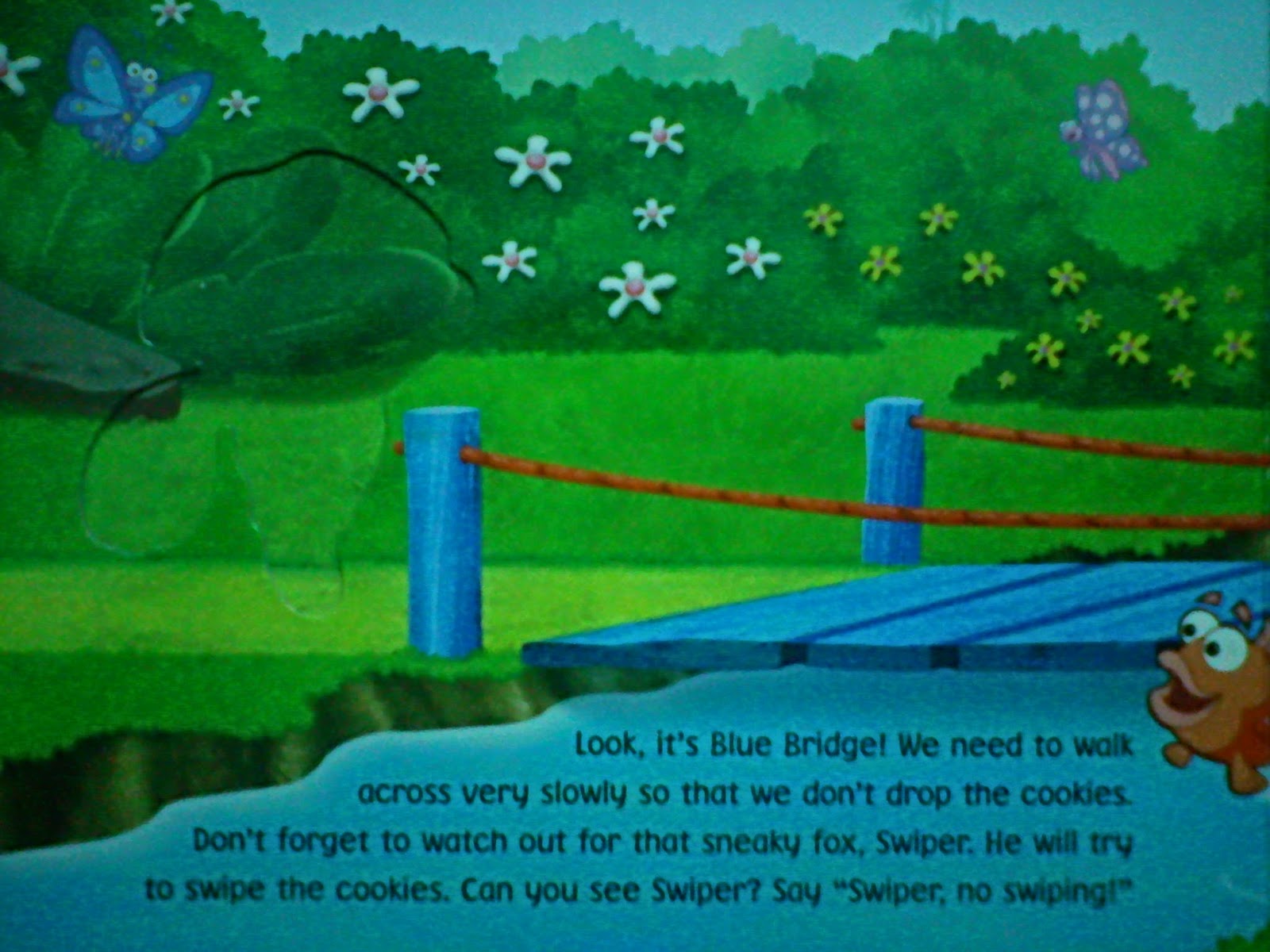 CHILDREN BOOKS FOR YOU: Dora The Explorer:Dora's Special Delivery