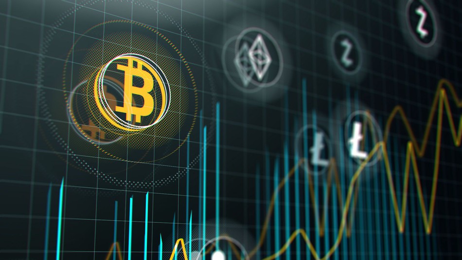 This Is Who Controls Bitcoin | I lived on bitcoin for 24 hours