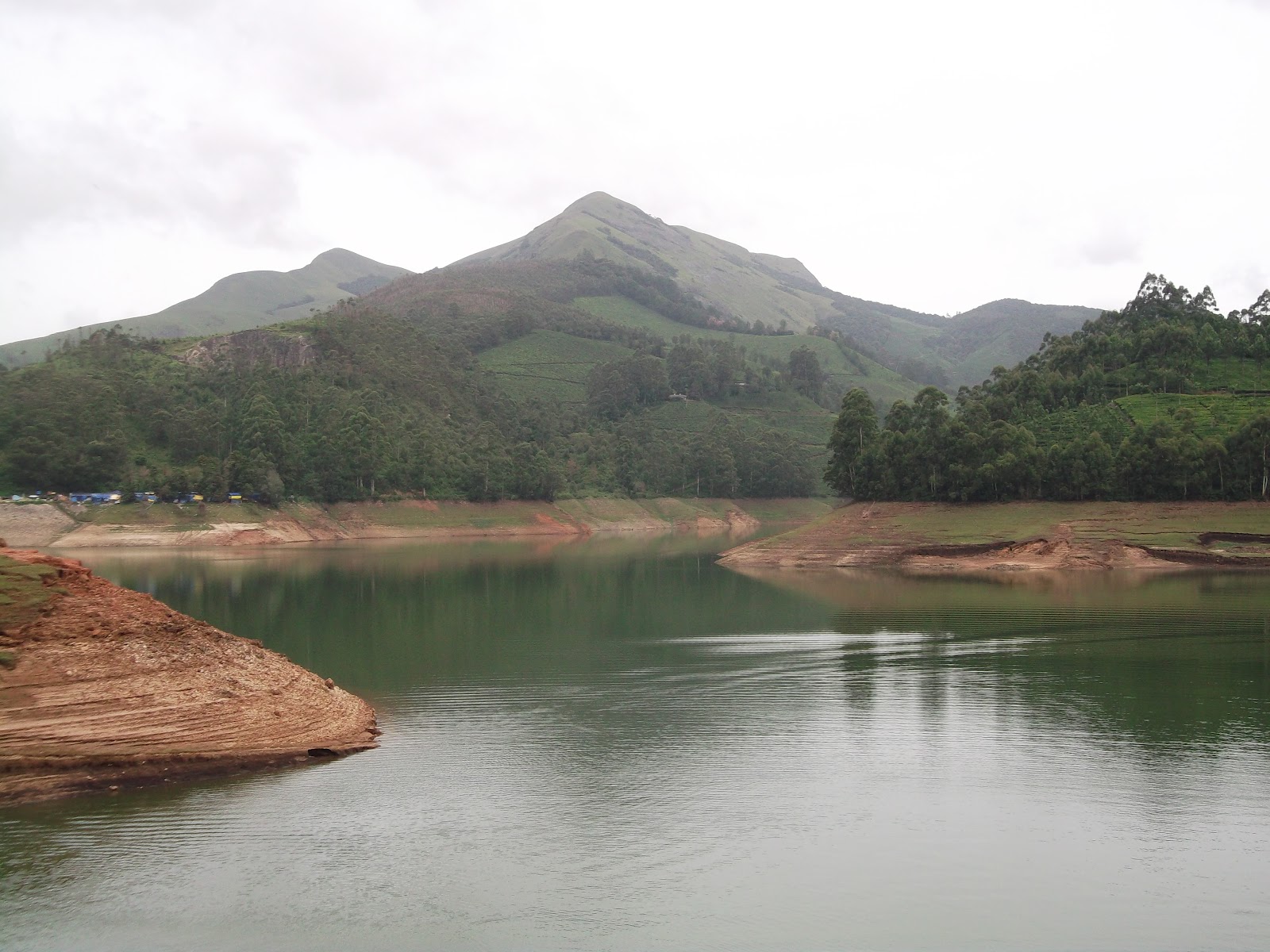 The Amazing Mattupetty Dam in Munnar